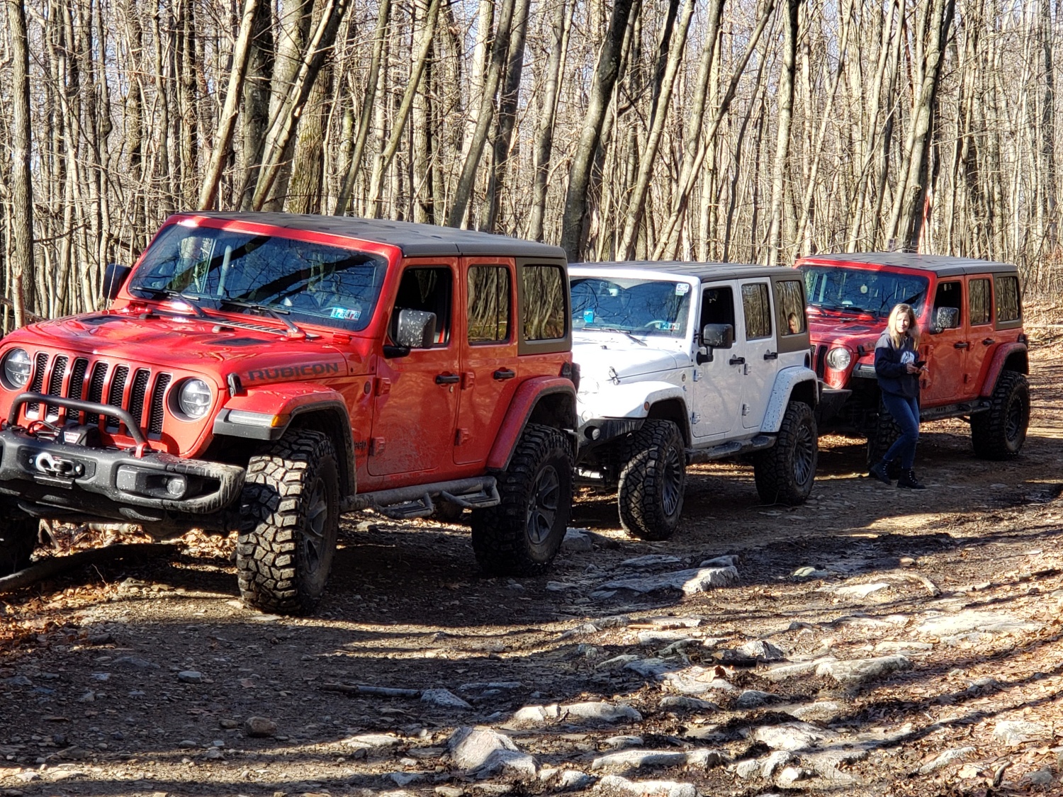 Project Jeep CJ-7 – A frame up Restoration and Buildup – Introduction ...